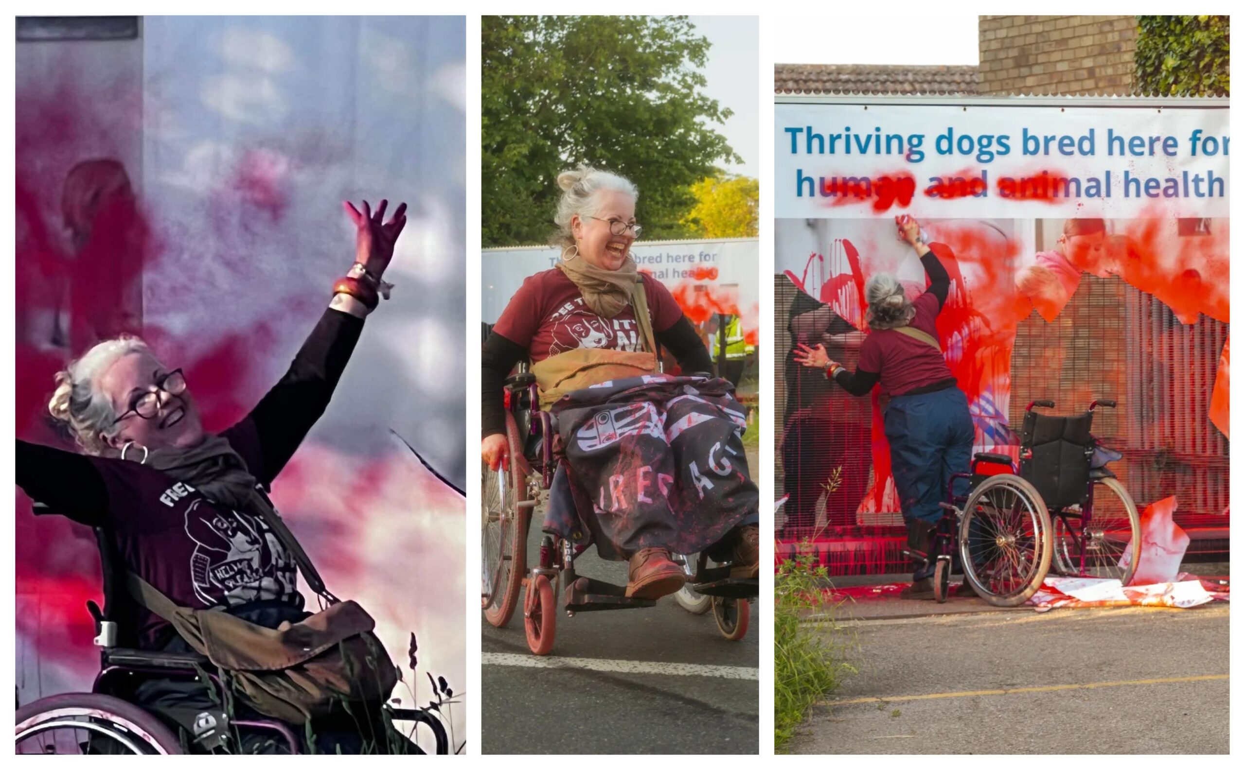Gleeful look in her eyes as wheelchair activist spray paints sign at ...