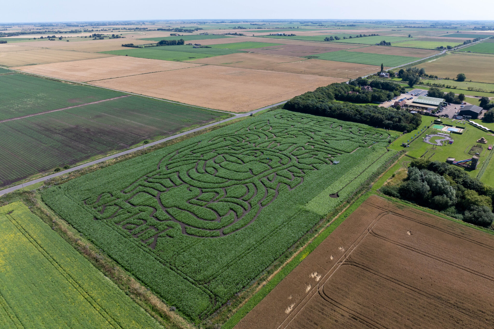 WATCH: CambsNews 360 Cam as we run around the Giant Maize Maze - News ...