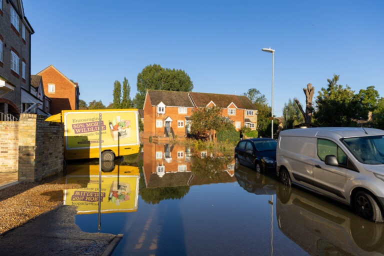 St Neots keeping fingers crossed after heavy rainfall leaves river ...